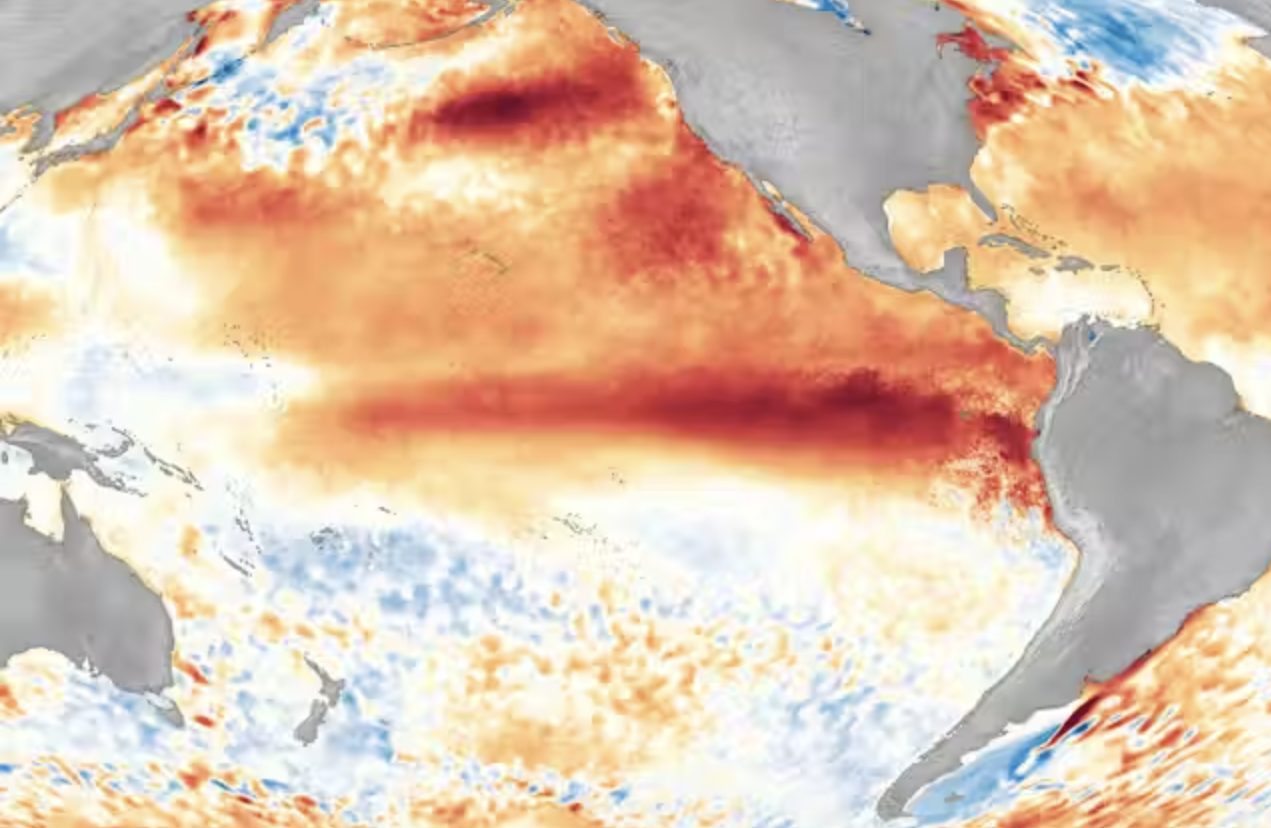 Agro-Climatic Advisory Portal - Zampen (ACAP-ZAMPEN) Bulletins